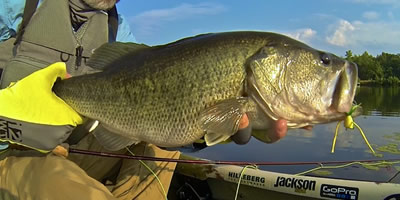 Lake Palestine Texas 2025 Travel Guide, location, size, access, marinas ...