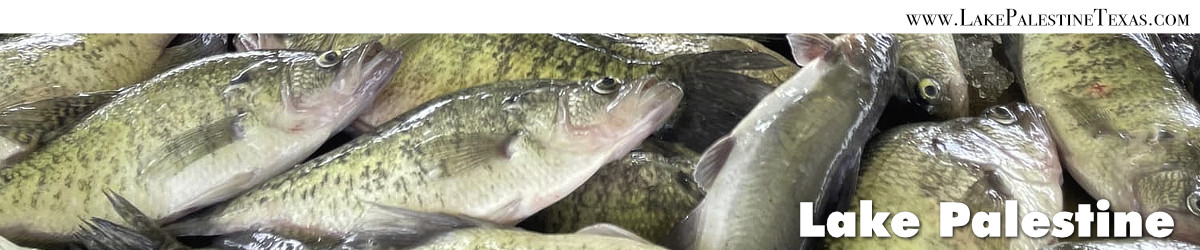 Lake Palestine Fishing, Fishing Guides, Fish Species, Stocking, and ...